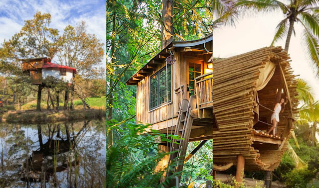 5 Instagram-worthy Tree House Hotels that you should consider on your ...