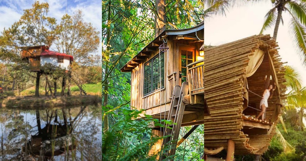 5 Instagram-worthy Tree House Hotels that you should consider on your ...