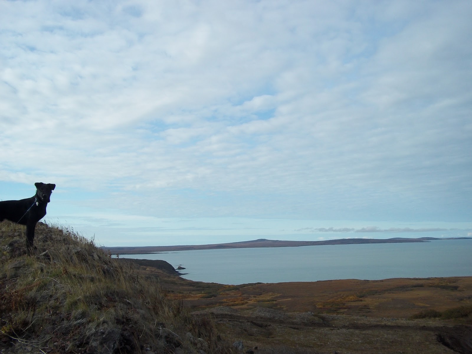 My Life (and teaching) in Alaska: Stebbins: Take Two