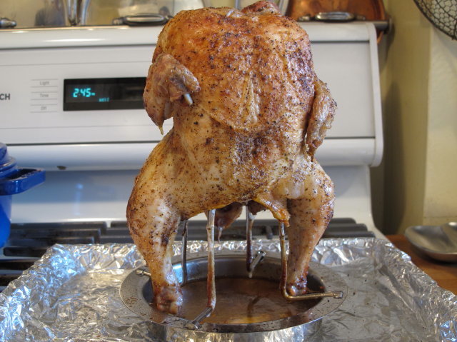 Tasty Travails: New Toys and Great Roast Chicken