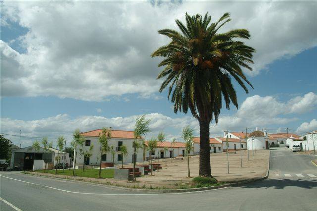 O melhor Alentejo do Mundo: Safara