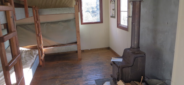 Tramping in the New Zealand backcountry: NZ Bush Adventures: Whats in a ...