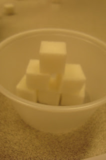 Sweet Life of First Grade: Sugar Cube Science Experiment