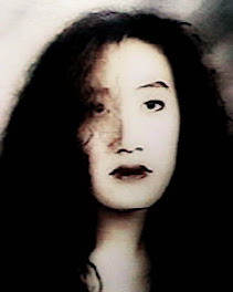 Have You Seen Us?: Hang Lee: Missing Since January 15, 1993