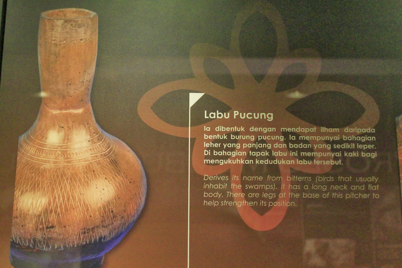 Jenis-Jenis Labu | D_08