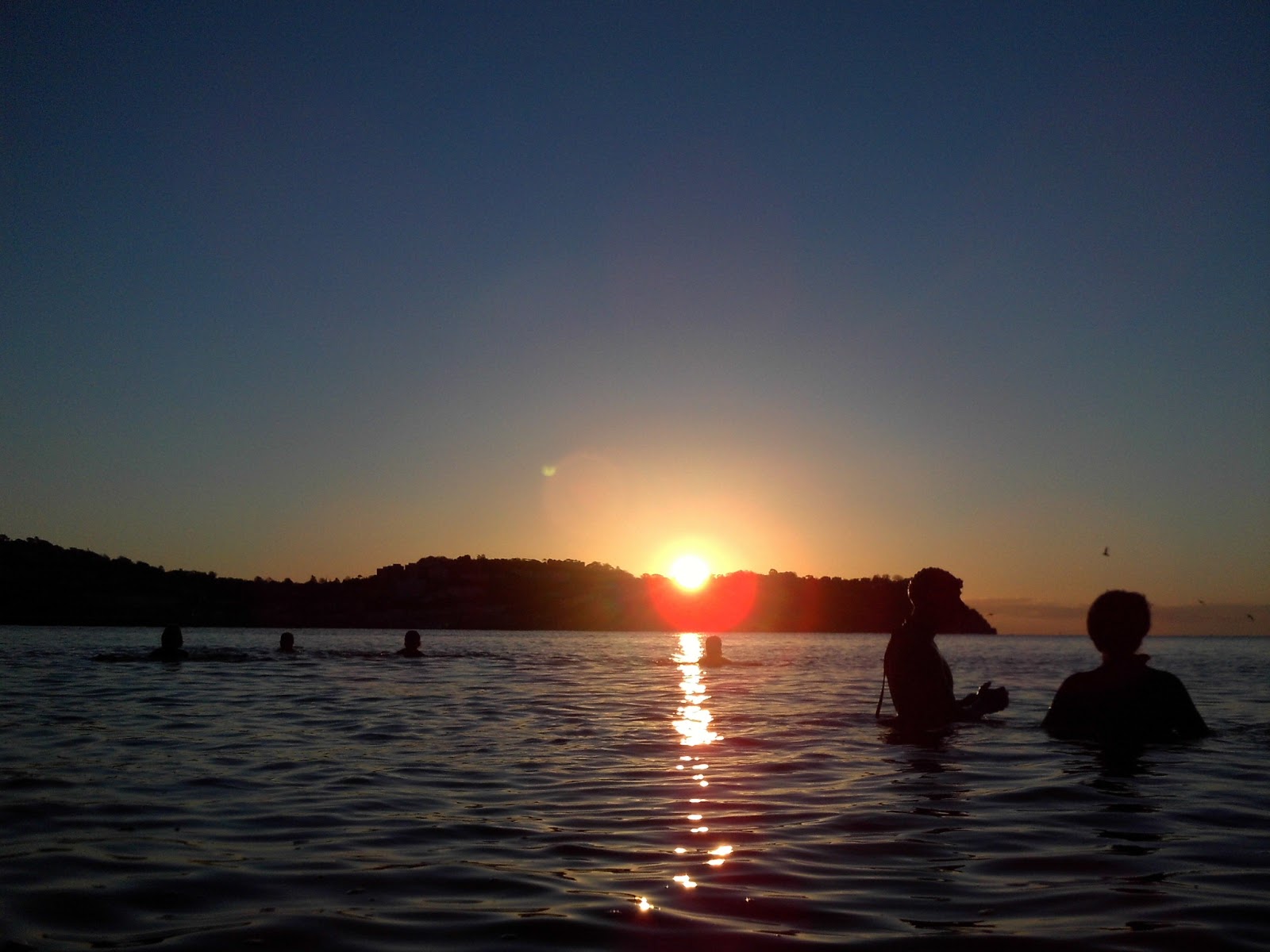 Devon Dispatches: A very special sunrise swim