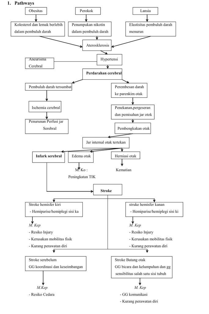CVD/STROKE - Nursing Fendyahya