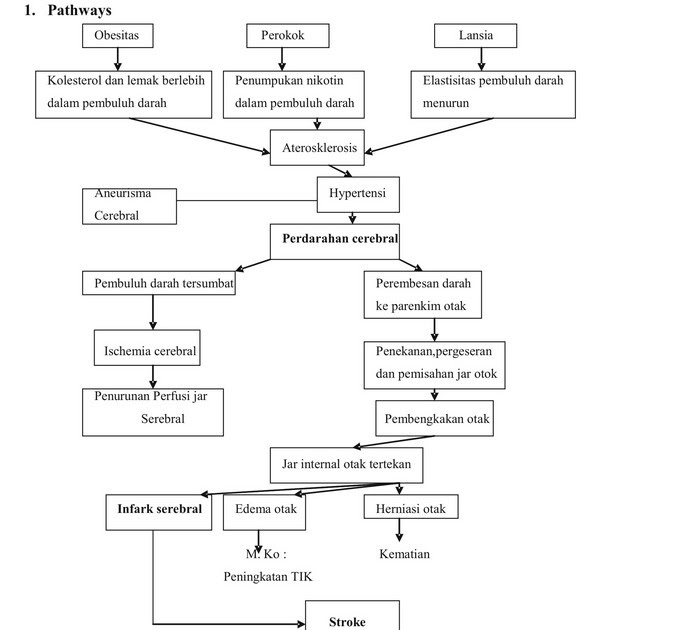 CVD/STROKE - Nursing Fendyahya