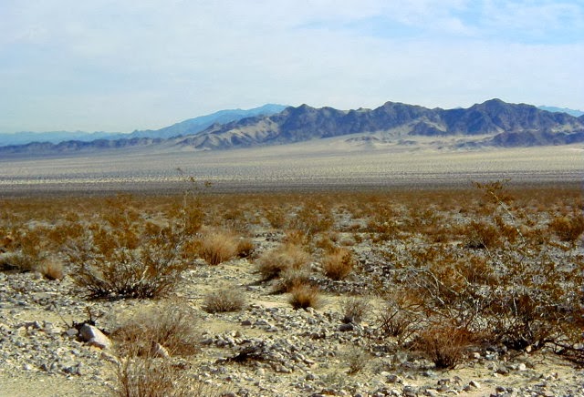Sano, sano, requetesano: Un campo yermo