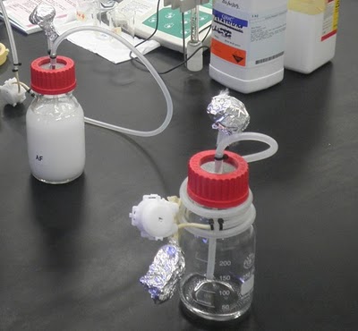 MR BIOREACTOR: Parts of a bioreactor
