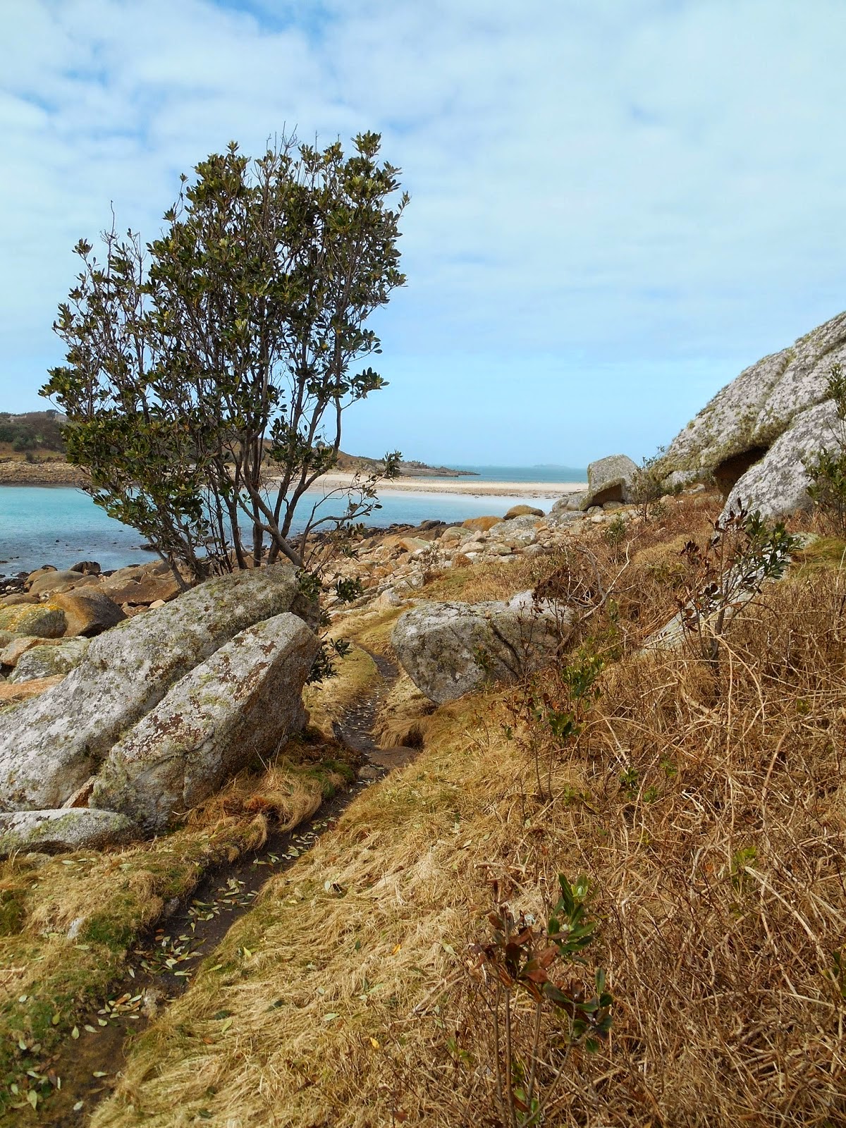 A lifetime of Islands: Island 50 - Gugh, Isles of Scilly