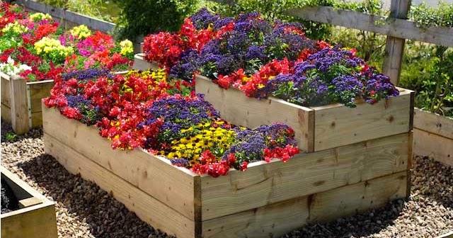 Two Men and a Little Farm: TWO LEVEL RAISED BED INSPIRATION THURSDAY