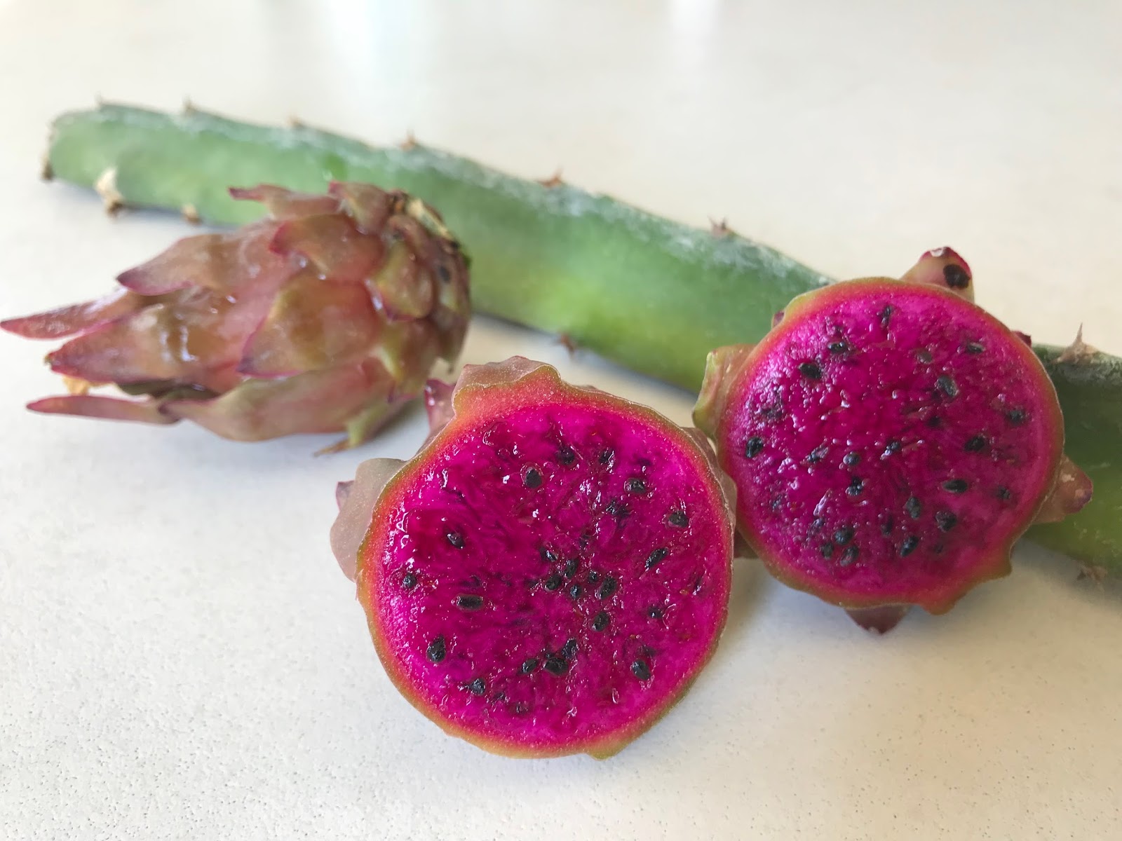 Daleys Fruit Tree Blog: Dragon Fruit Pitaya Zomovanao Trial