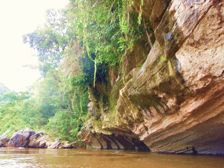 Cats City Hornbill Land: PADAWAN FEST RIVER SAFARI