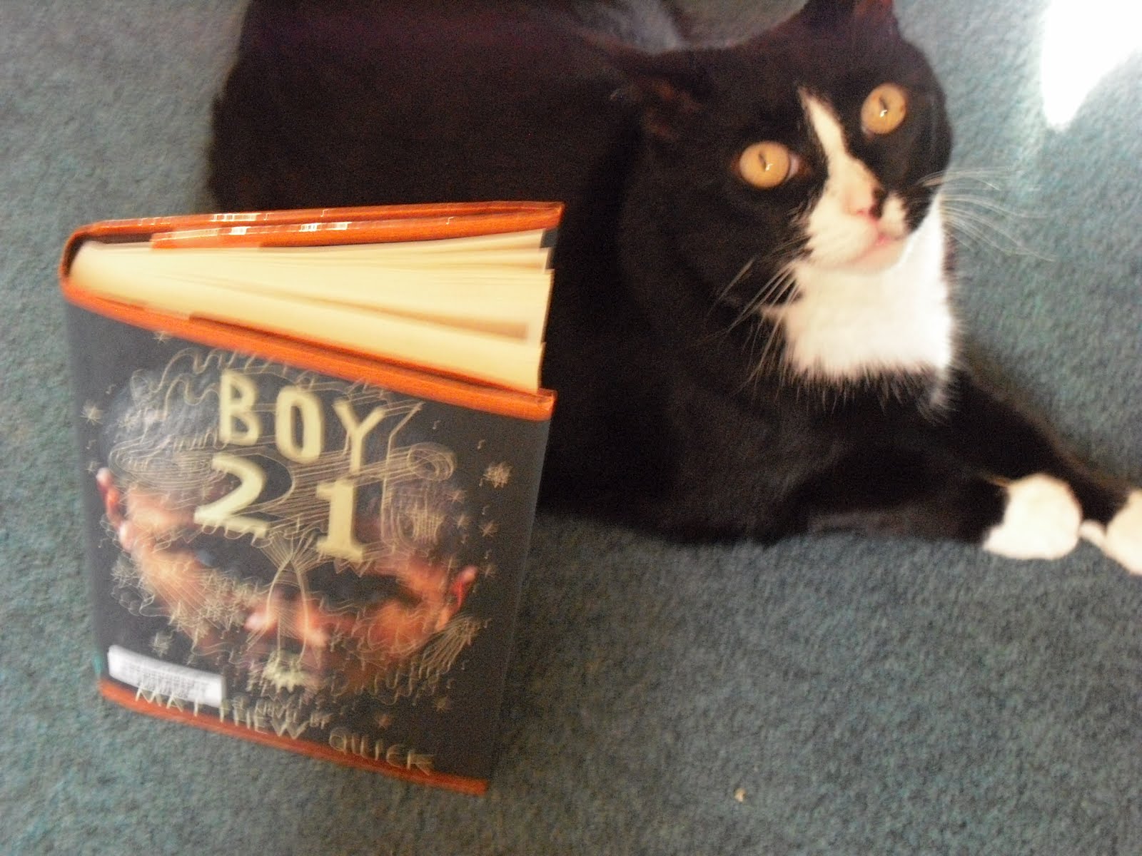 Grab A Book From Our Stack: "Boy 21" by Matthew Quick (Updated)