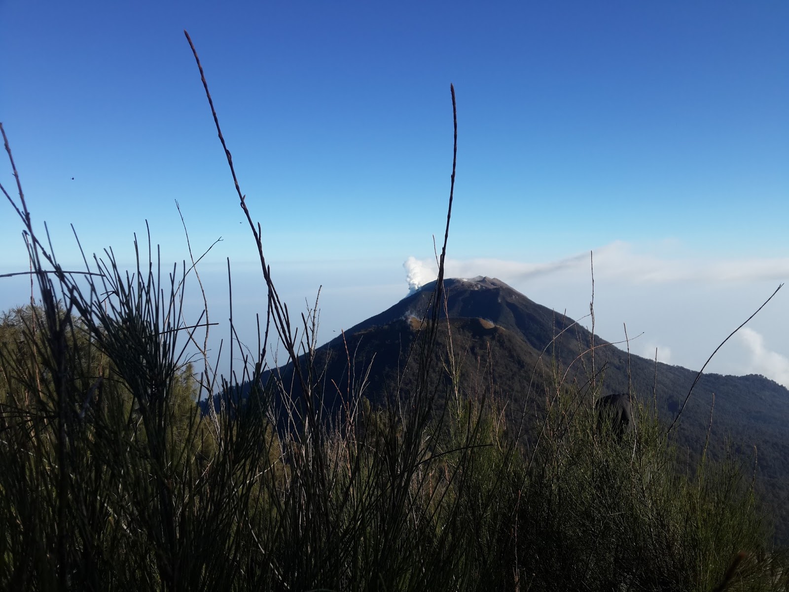jalur gunung arjuna welirang via batu ~ TRANS PETUALANG