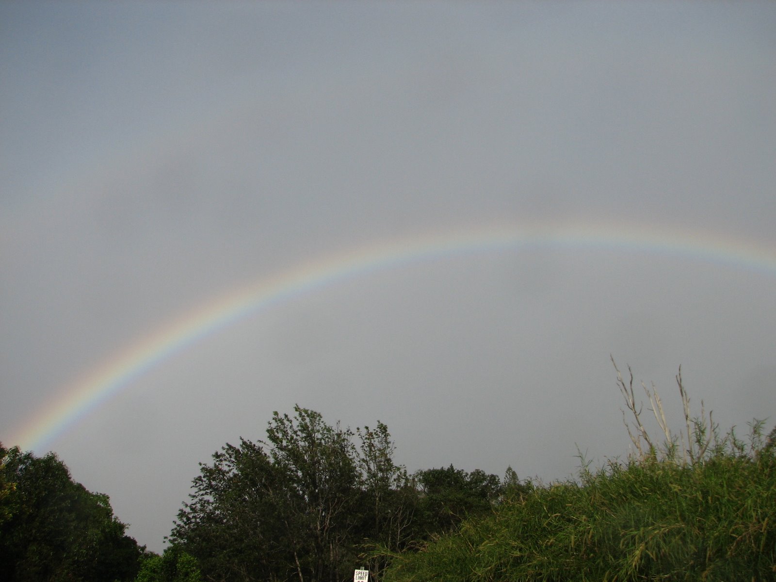 LLM Calling: #365photoproject day 25