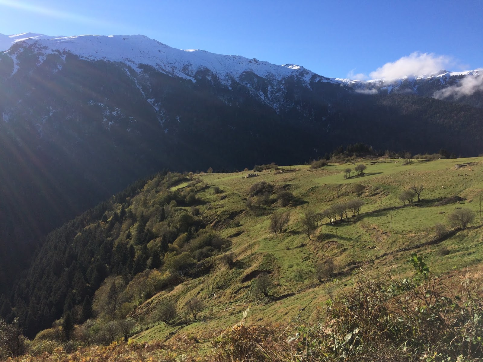 GEZİ YORUMLARIM: RİZE YAYLALARI