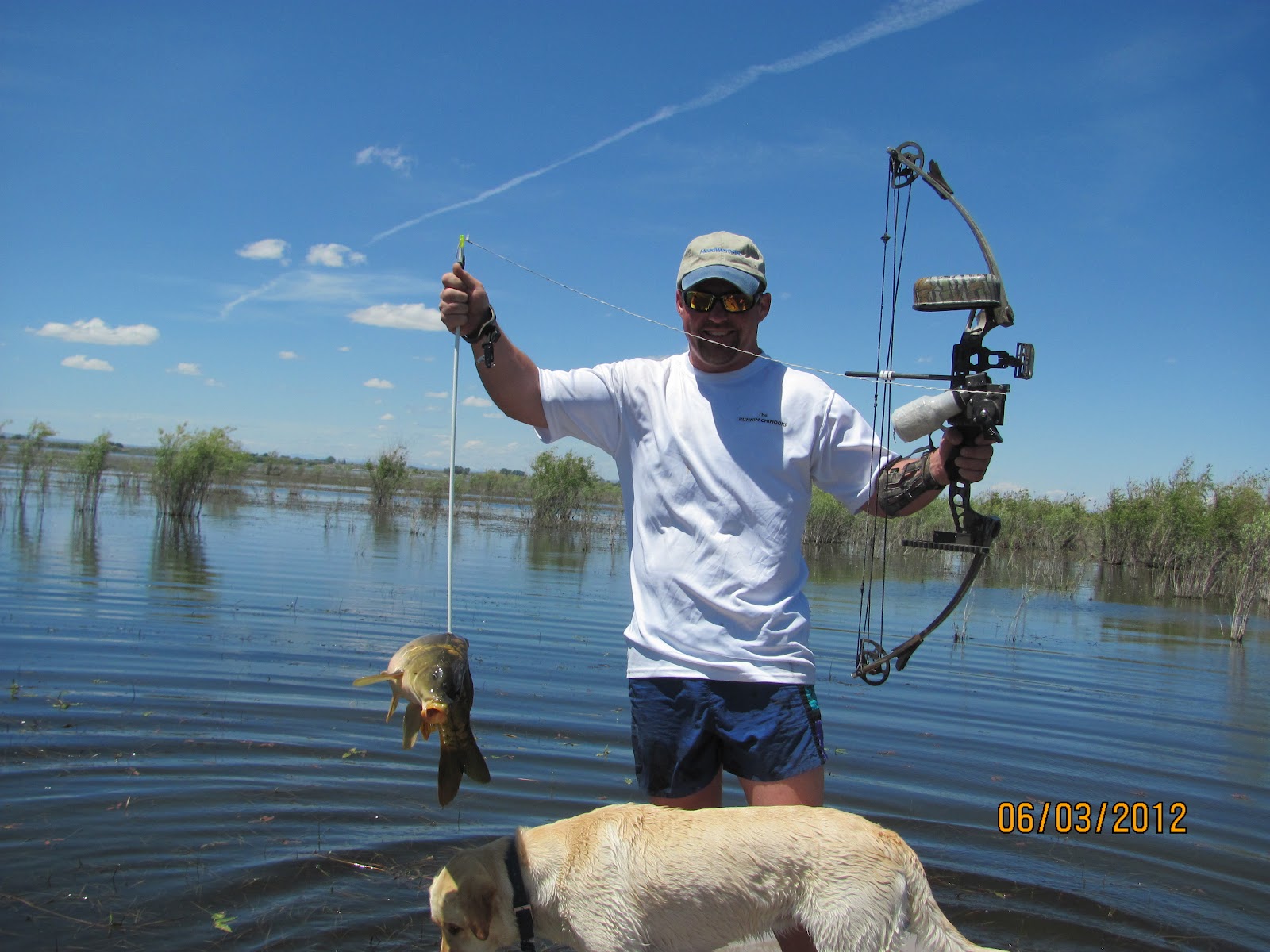 Upper Snake River Bowmen: Bowfishing for Carp