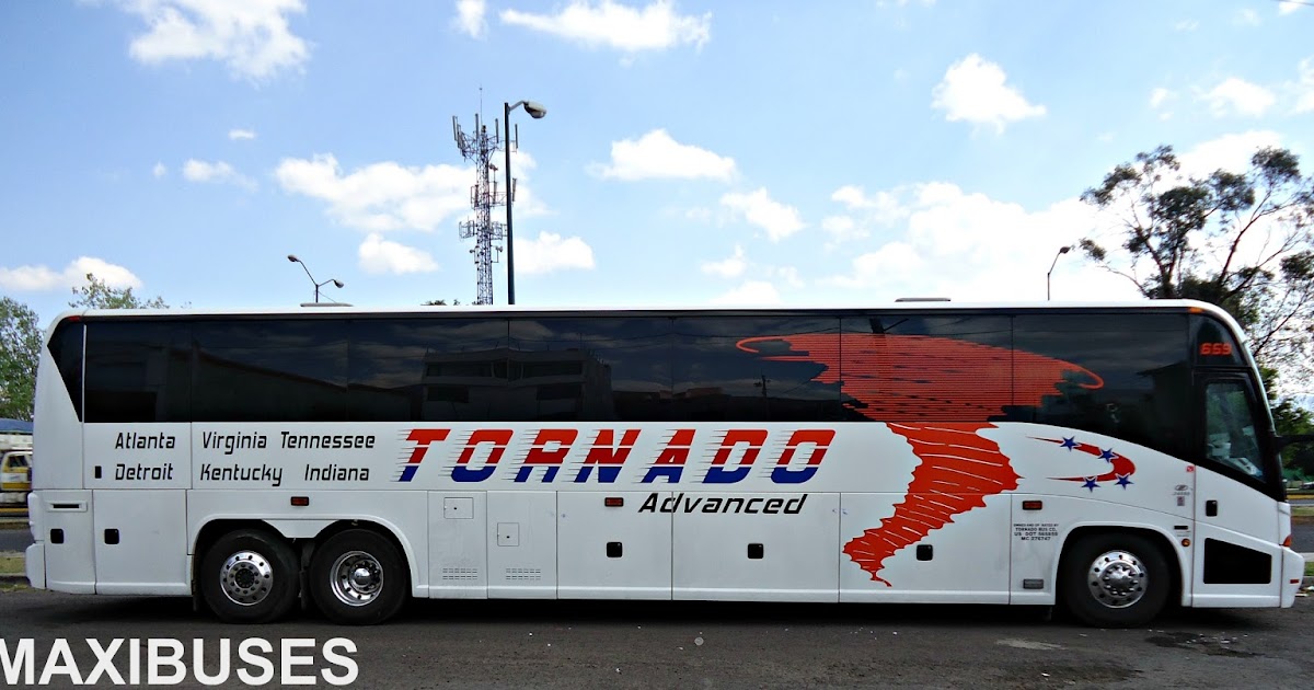 MAXIBUSES: TORNADO BUS COMPANY
