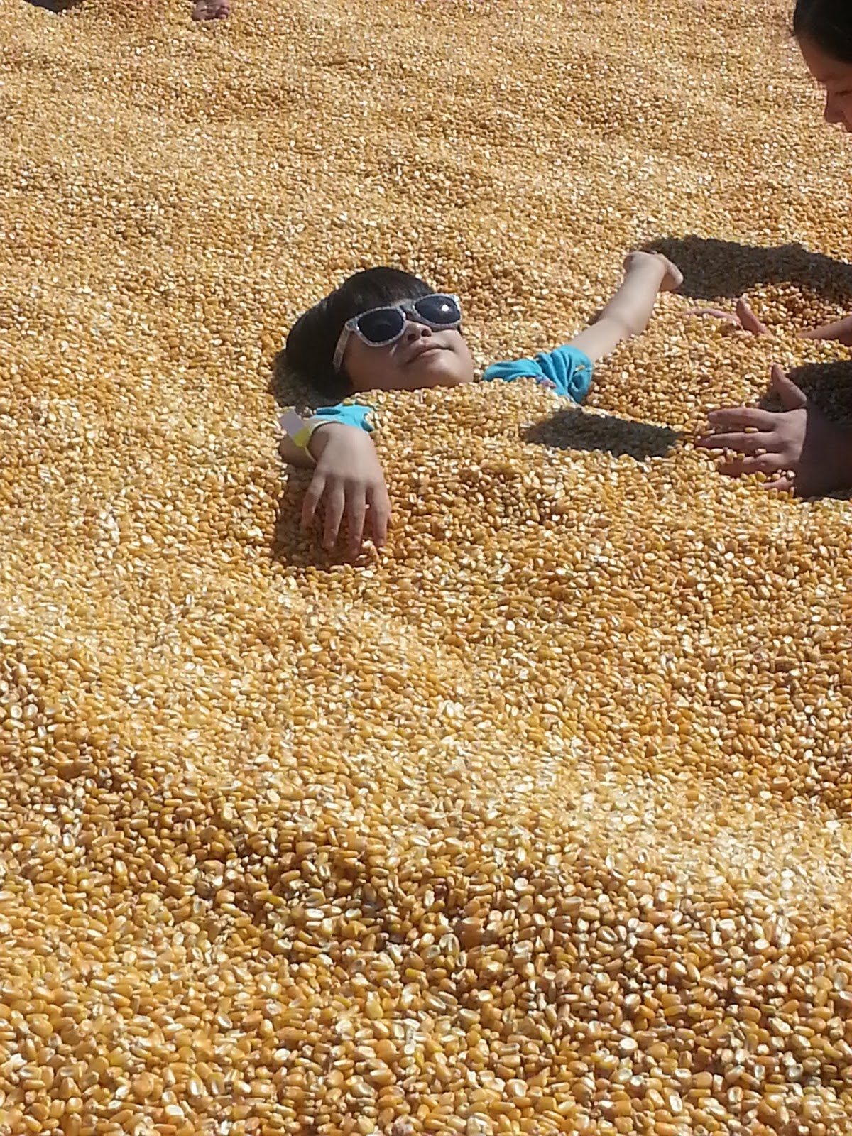 Four Violet Reviews: Corn Pool on the Christmas List!