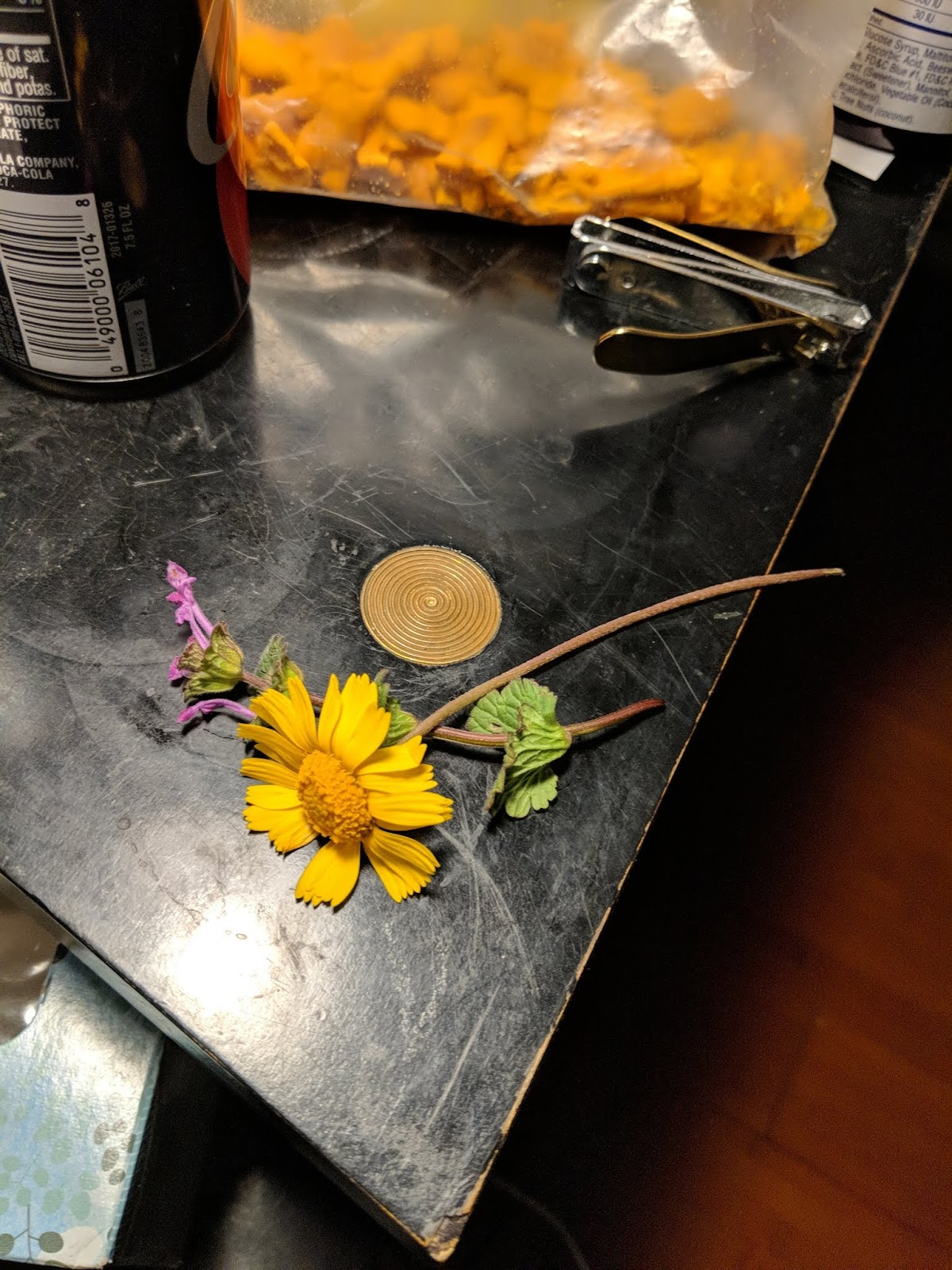 Seasonality:Embracing Change : A PLATE TOO FULL