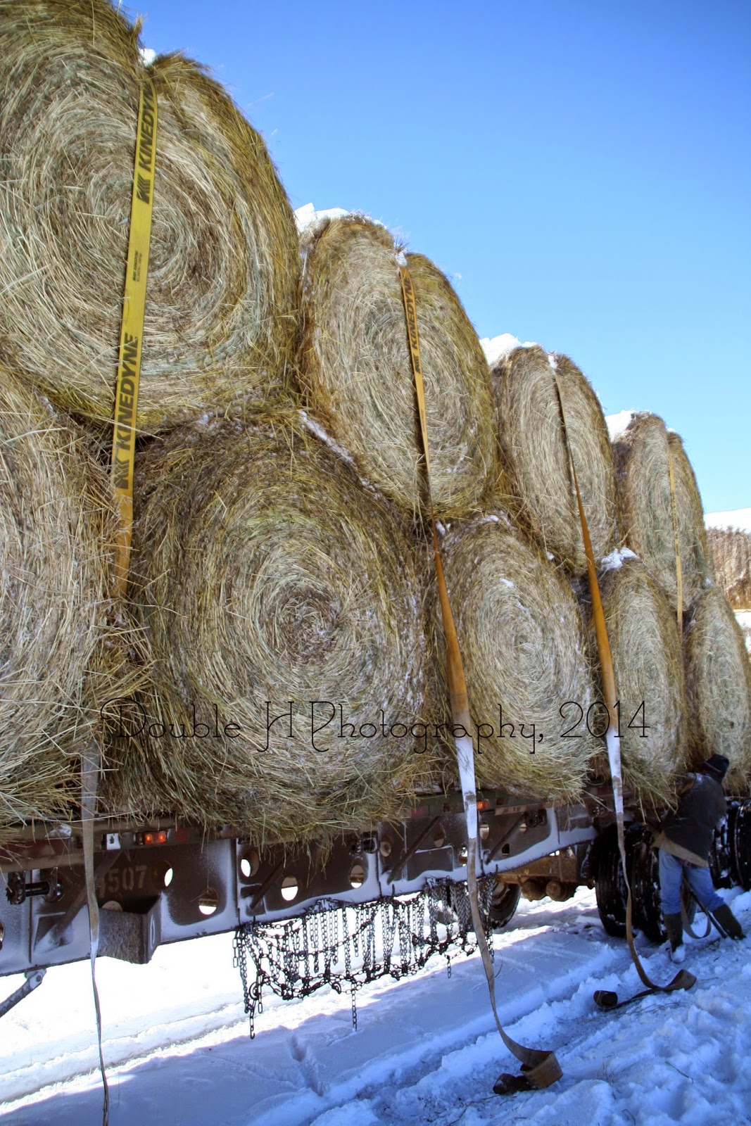 Double H Photography: Hauling Hay