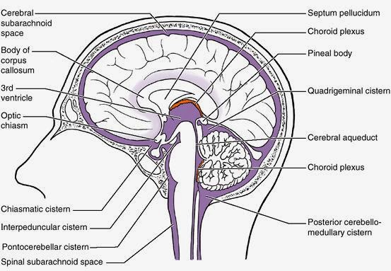 Ten Things That I Learned Today