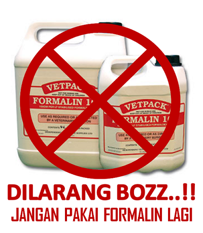 Formalin kian meresahkan | Food Safety Info include health important ...