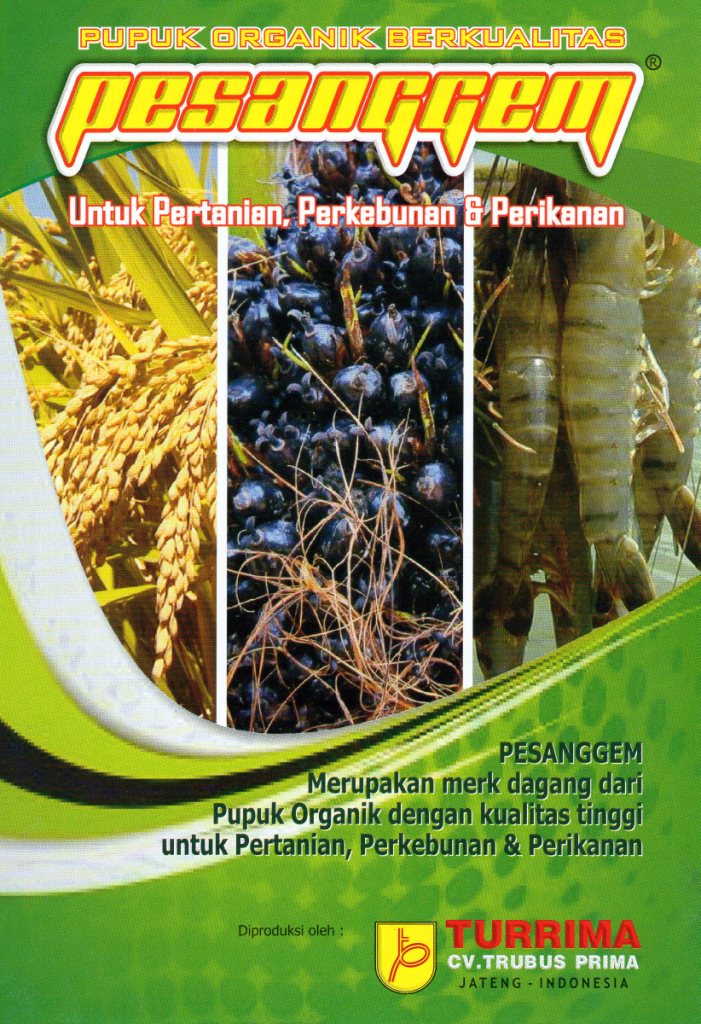 SELAMAT DATANG DI PT TURRIMA AGRO MASS ~ PT. TURRIMA AGRO MASS