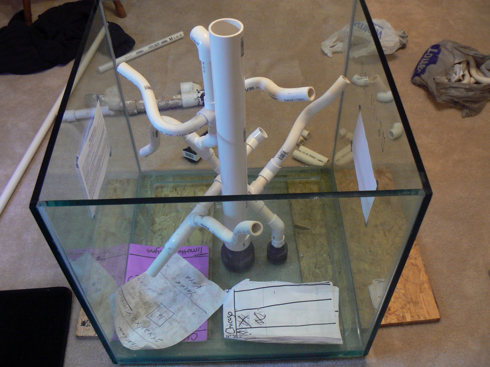 Kaya's Reef Tree: Building the tree: Part 1 (Inspirations and Concept)