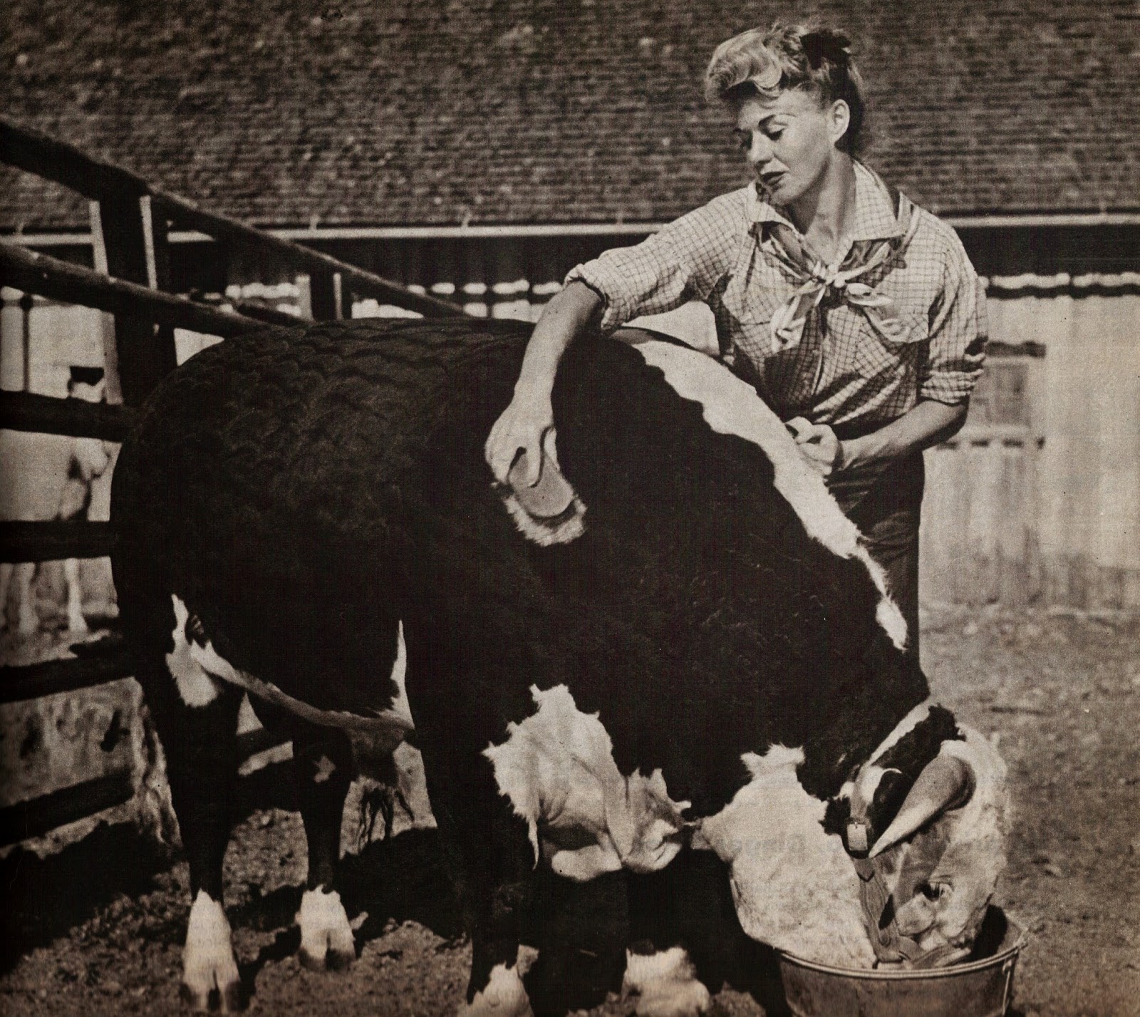 Gingerology: ...COOL Gingerbilia opportunity!