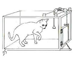 Edward Lee Thorndike: Theory of Learning ~ EduGyan