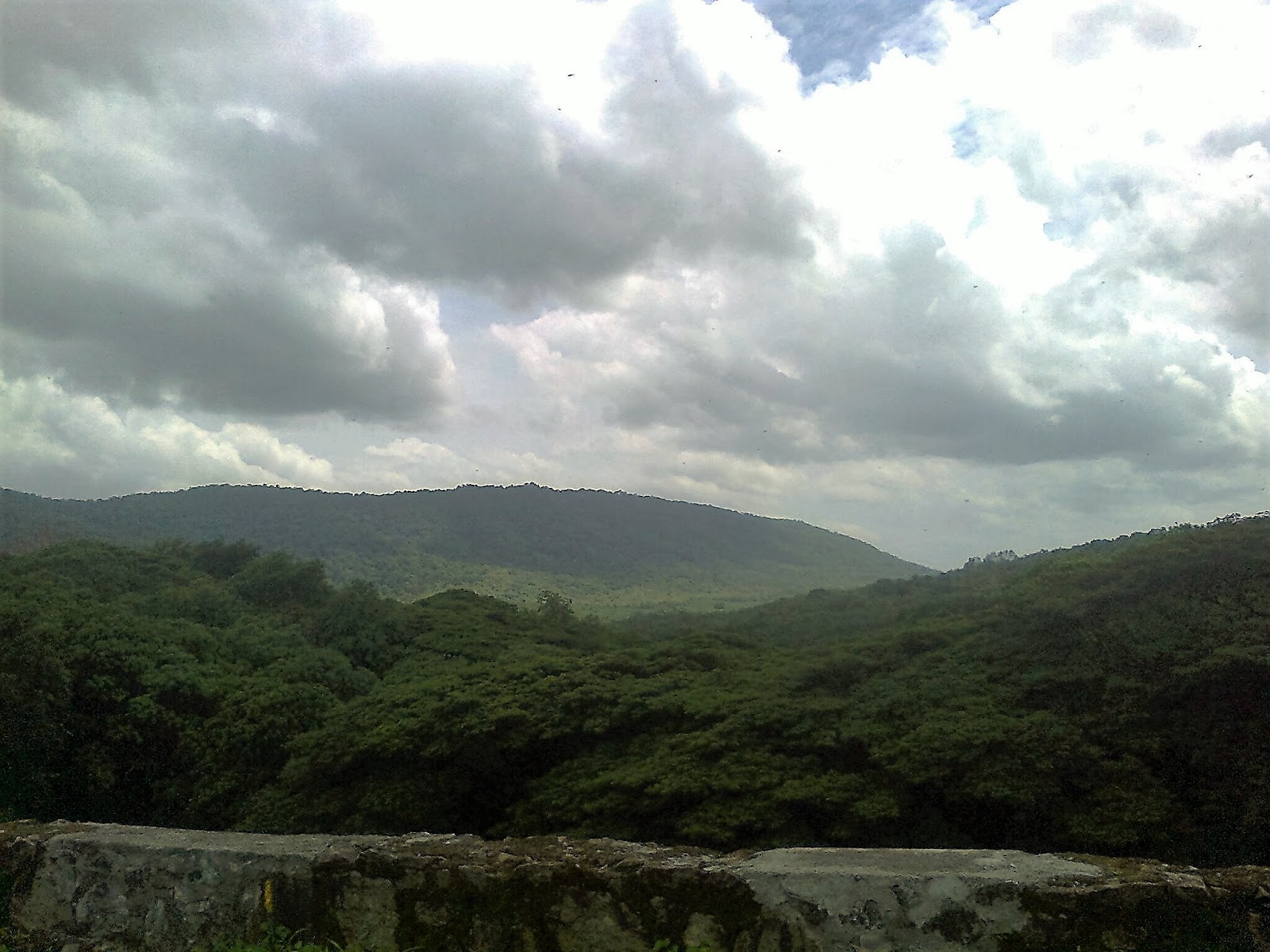 MELODIES POSITIVE: Chimmini Wildlife Sanctuary.