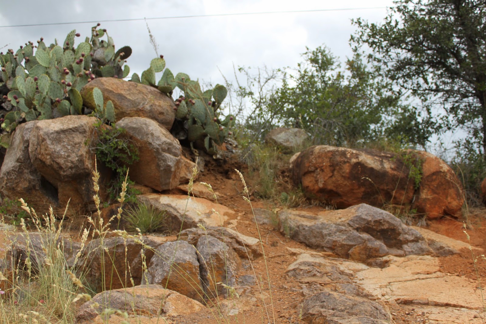 Texas Thru My Back Door: Llano Rocks!