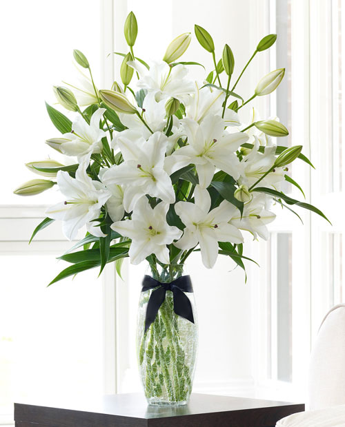 CIANJUR FRESH FLORIST: BUNGA LILY