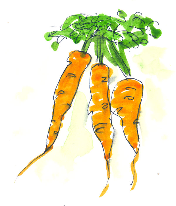 sipsippernip: Skrottede tegninger