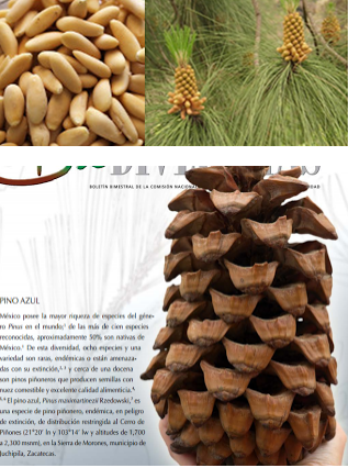 Consultoria Experta en negocios de Agricultura, Ganaderia y Forestales ...