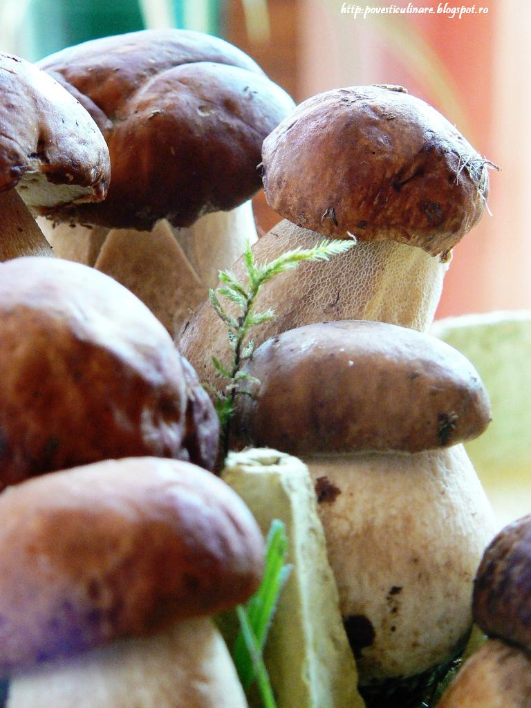 Hribe cu taietei si sos de patrunjel si lime