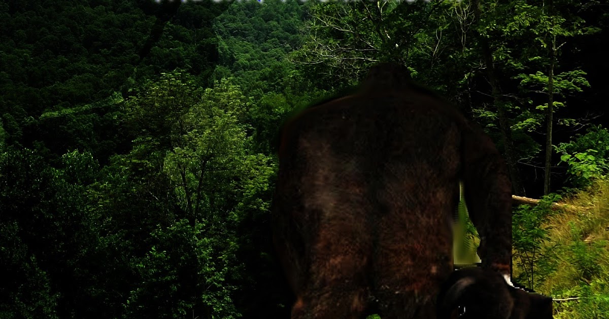 Bigfoot Steals Dog - Witness Interview ~ The Crypto Crew