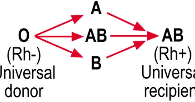 Blog de Biologia: Fator Rh no sangue
