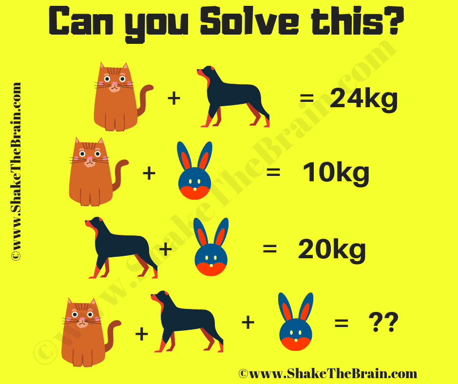 Maths Picture Puzzle