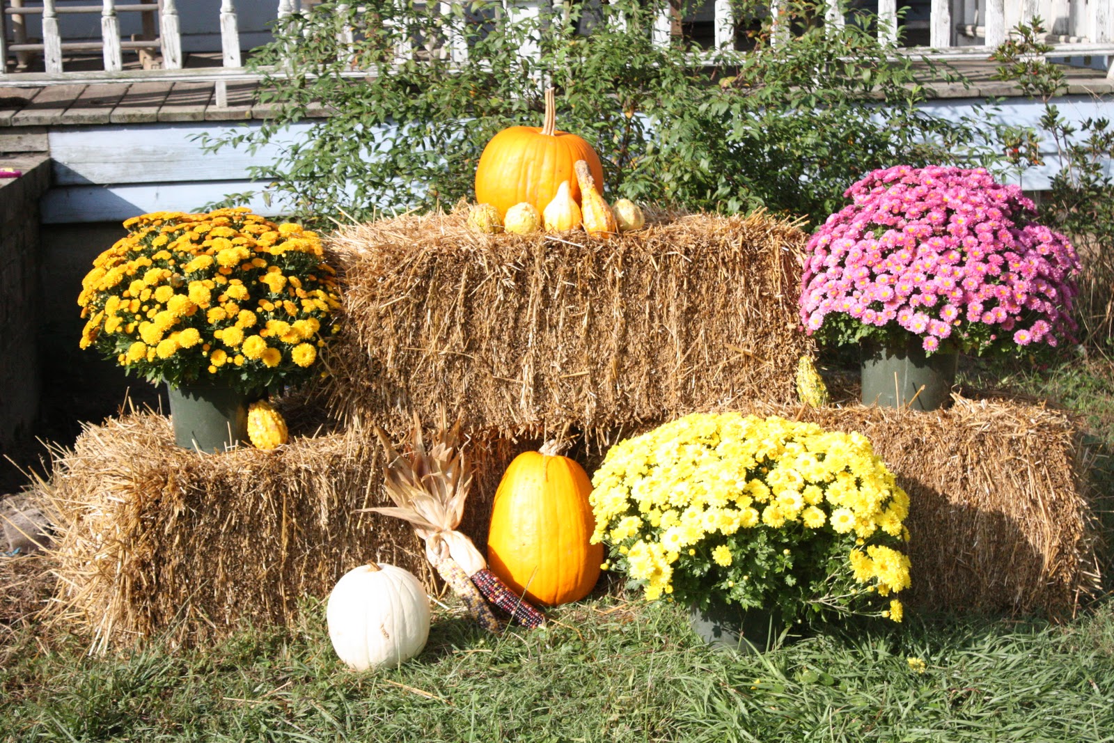 A Slice of Smith Life: Mr. Slim Goodbody, Farm, and Planetarium Field Trips