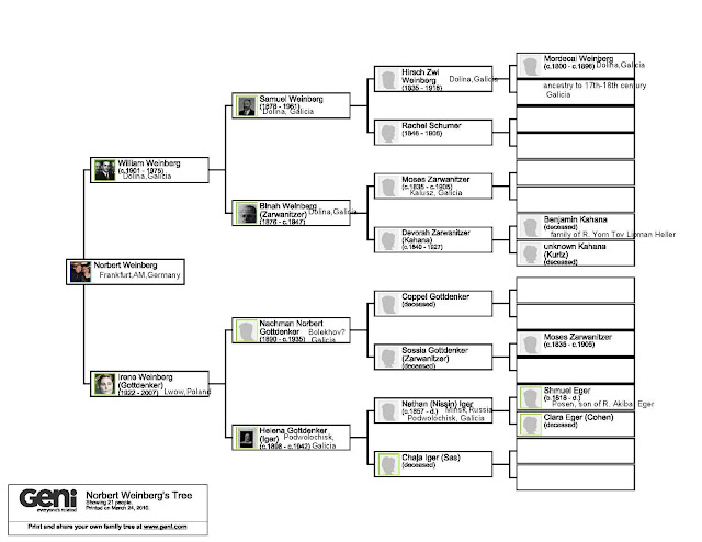 COURAGE OF THE SPIRIT: The Origins of the Weinbergs of Dolina Galicia