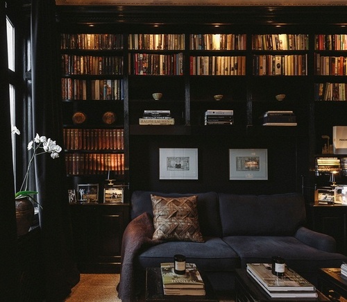 Content in a Cottage: Great Media Room / Library
