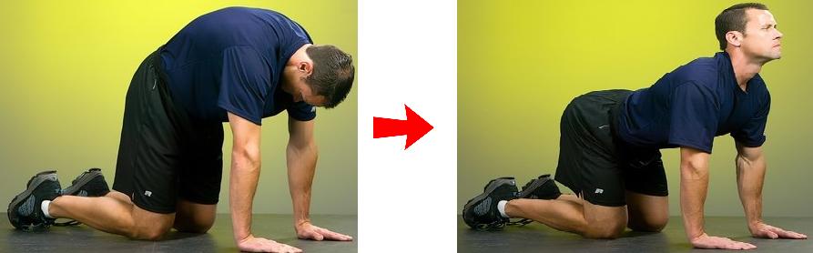 Back Exercises: How To Maintain A Healthy Back With Gentle Back Exercises