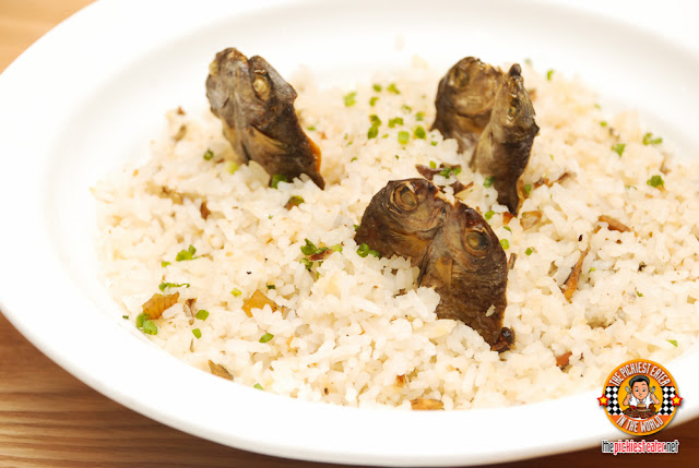 THE PICKIEST EATER IN THE WORLD: CEBU'S FAMOUS KUYA J'S, NOW IN MEGAMALL!