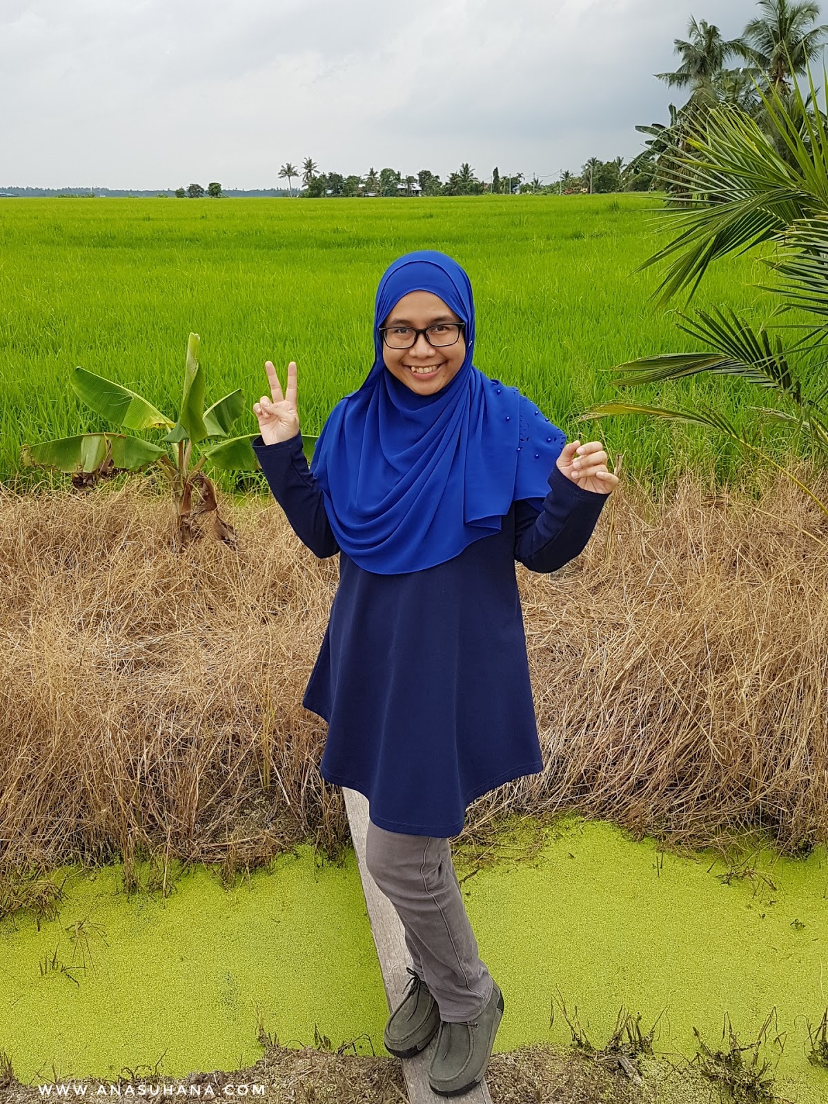 Bercuti di Sungai Besar - Jalan-jalan Tengok Sawah Padi Menghijau ...