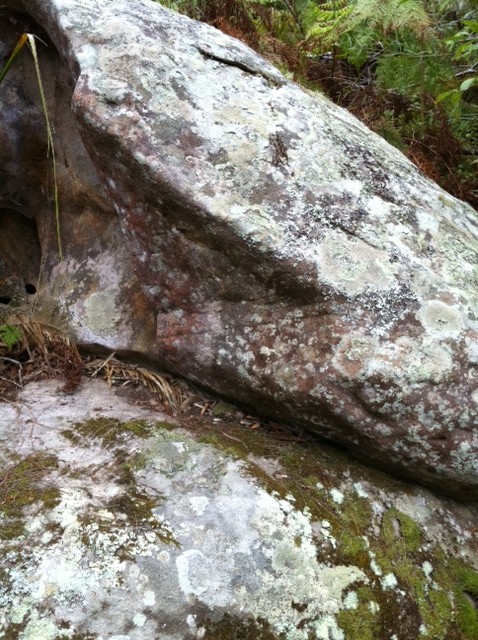 OLLMANN DESIGN: Nada Herman - Artist