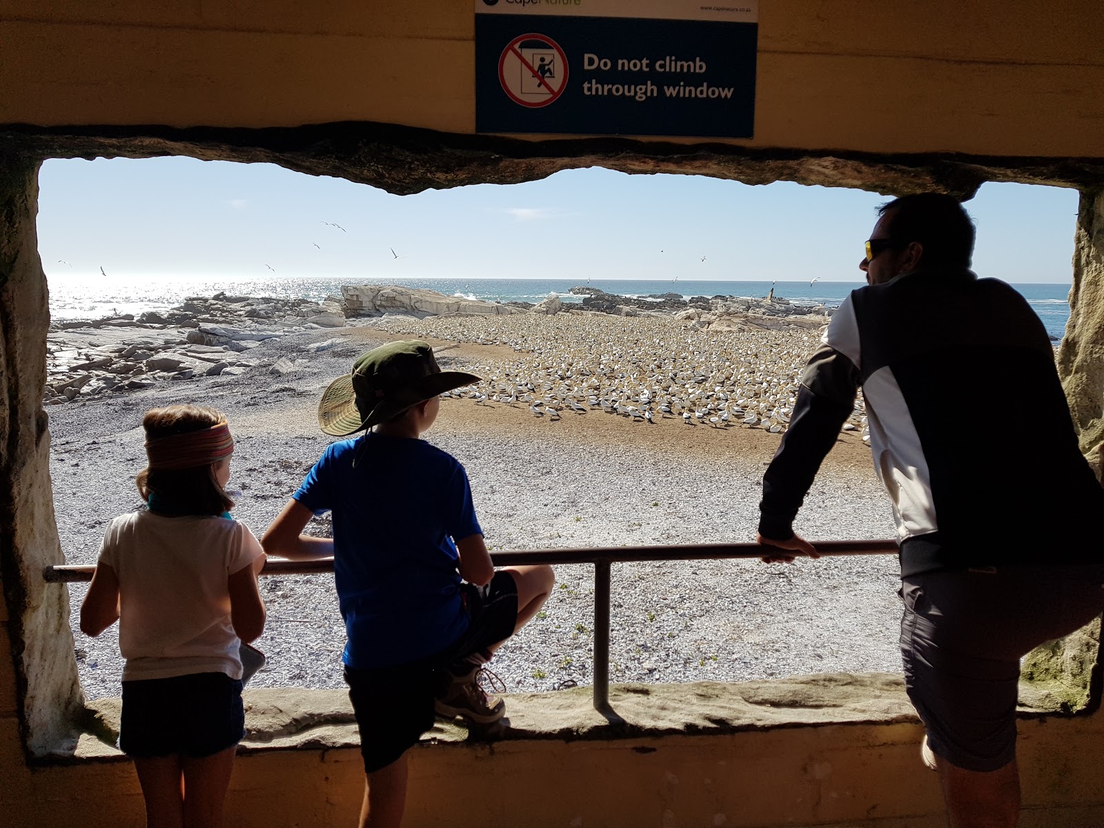 Week 26 in Afrikaans - Lambertsbaai